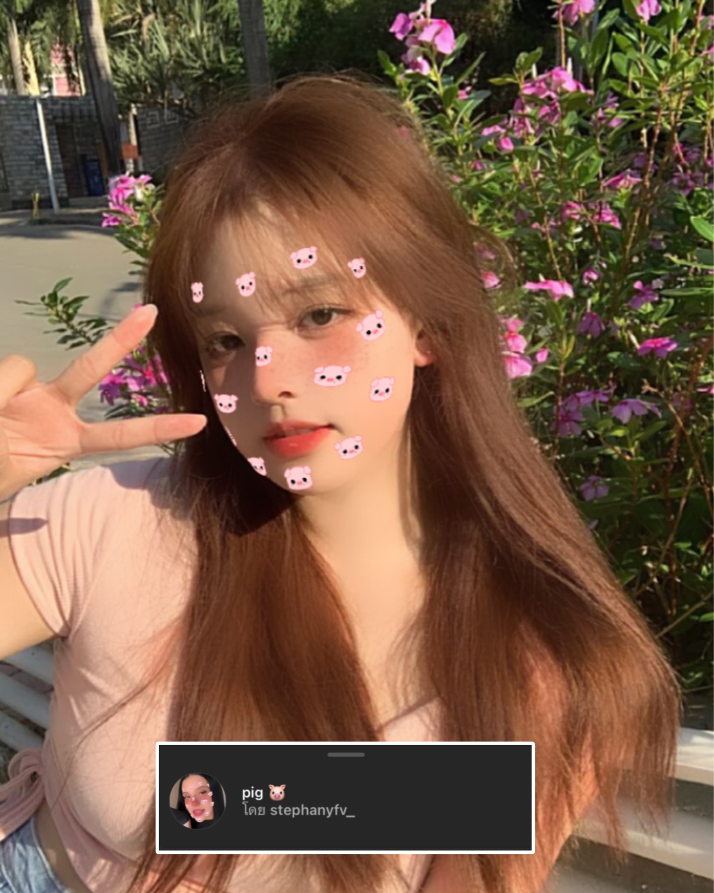 20 ฟิลเตอร์ไอจีเพิ่มรูป เพิ่มสื่อได้ ใช้รูปเก่ามาใส่สตอรี่ก็ได้รูปใหม่ ...